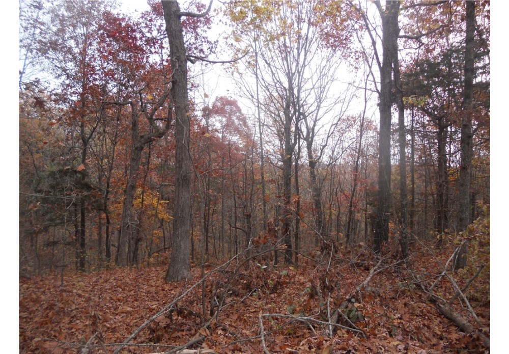 Northwest Arkansas Listings | Lindsey & Associates